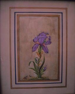 DESTINO DI UN GATTO PERSIANO(DESTINY OF A PERSIAN CAT) / Eventi / News ...